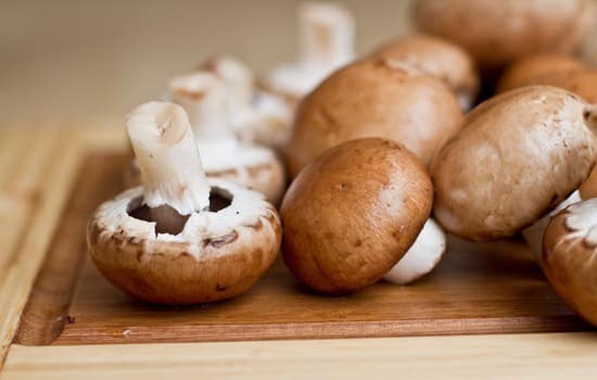 8 Beneficios de las Setas Crimini - Recetas y Consejos | Salud Responde