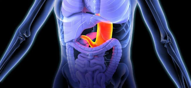 Pepsina: ¿Qué es y Para Qué se utiliza | Salud Responde