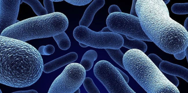 La Flora Bacteriana Aumentada - ¿Qué Significa? | Salud Responde