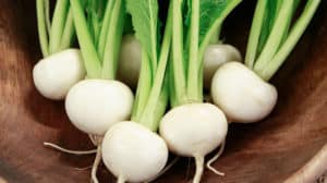 7 Beneficios del nabo - Para qué sirve y propiedades | Salud Responde