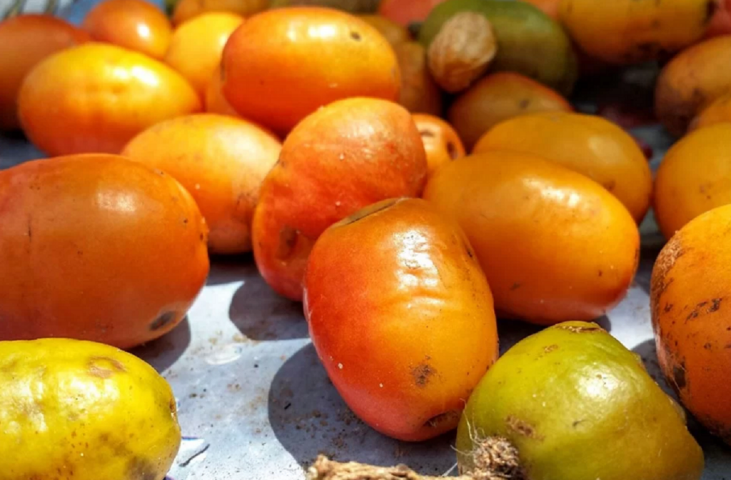 12 Beneficios de la siriguela - para que sirve y propiedades | Salud ...